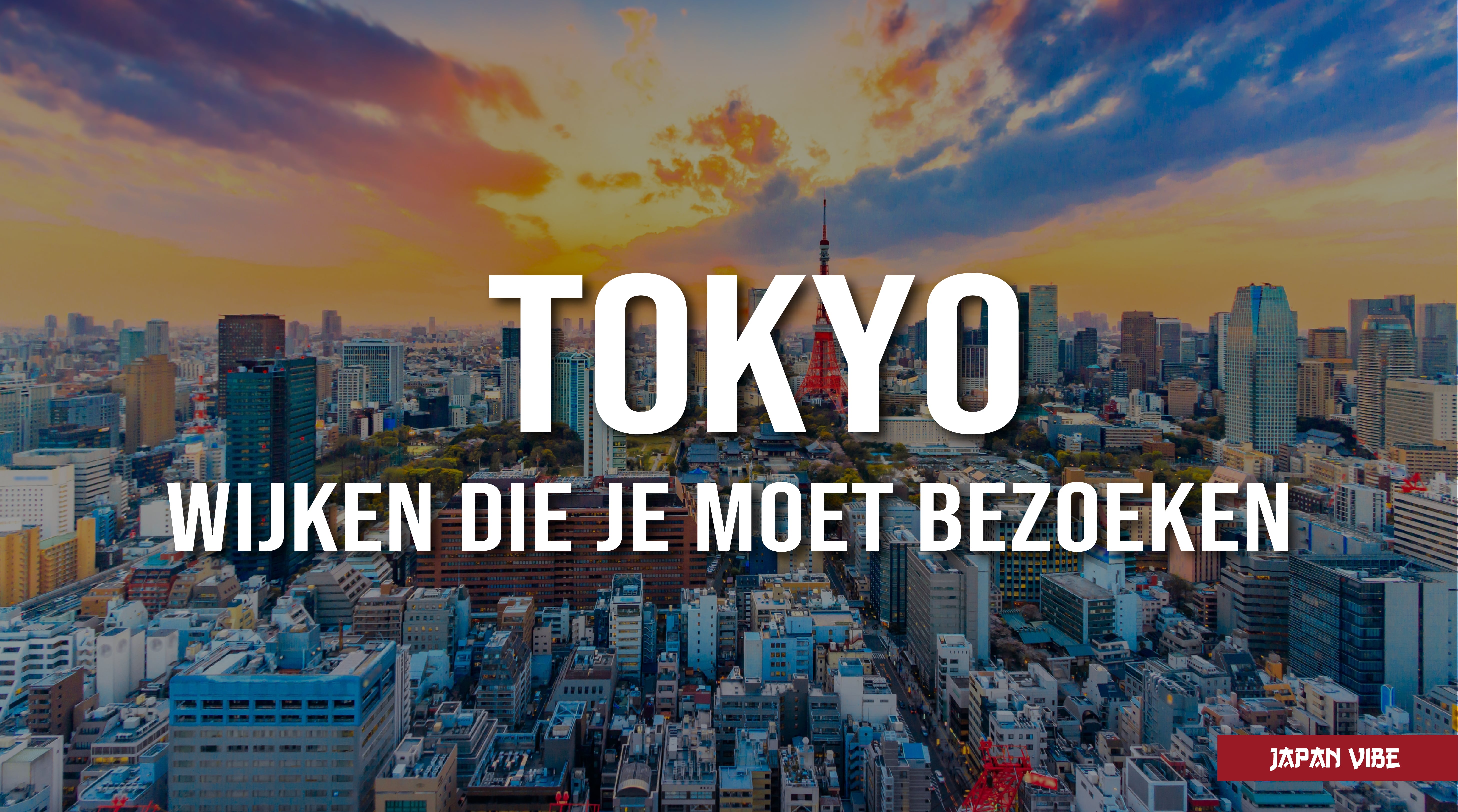 De Leukste Wijken van Tokyo | Japan Vibe